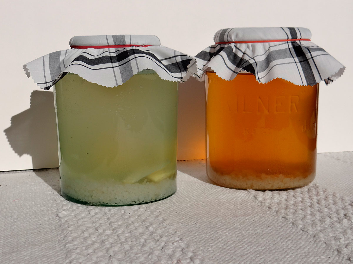 Boisson Kéfir de fruit : Voici la véritable recette pour faire une ...